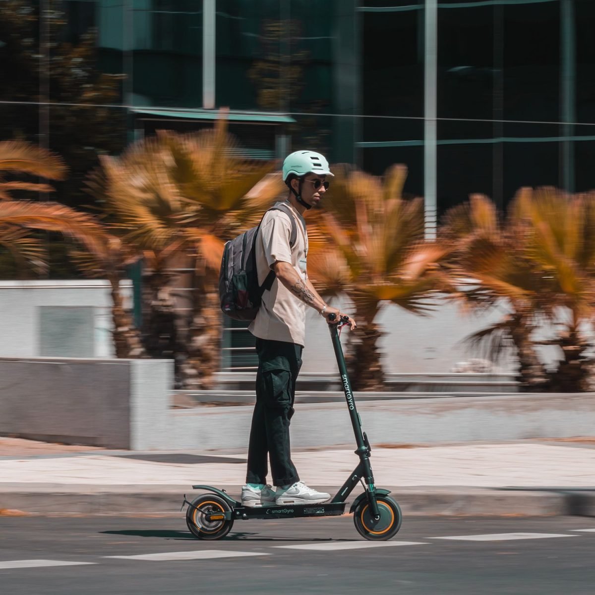 smartGyro Z-PRO silver 🛴⚡ Tienda patinete eléctrico PitStop